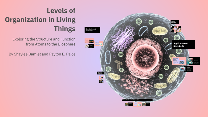 Levels of Organization in Living Things by Payton Paice [STUDENT] on Prezi