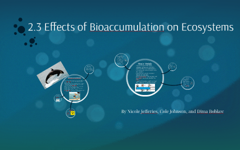 2.3 Effects of Bioaccumulation on Ecosystems by gfshgfnsdgb vfhxshfgshb ...