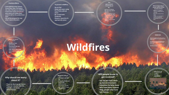 A wildfire is an uncontrolled fire by devann davis on Prezi