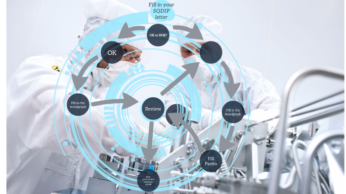 SQDIP Flow presentatie by Wilson Cruz on Prezi
