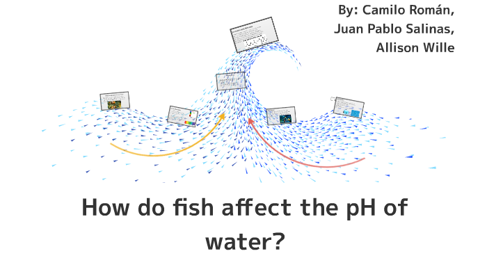 How do fish affect the pH of water? by Camilo Roman on Prezi