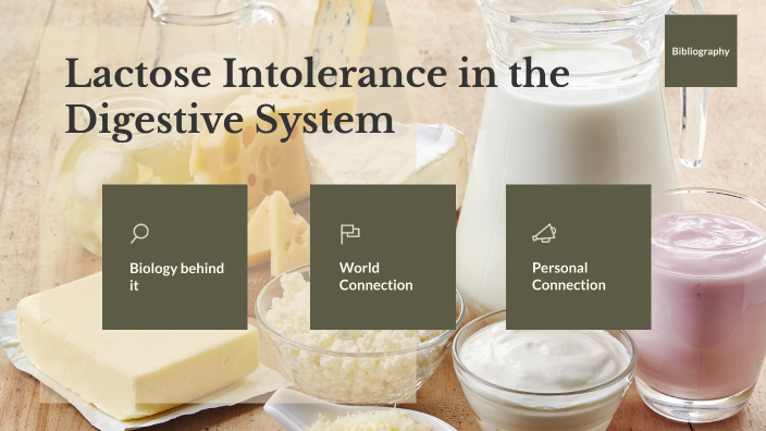 Lactose Intolerance in the Digestive System by Mo Marie Lauyanne Kouame ...