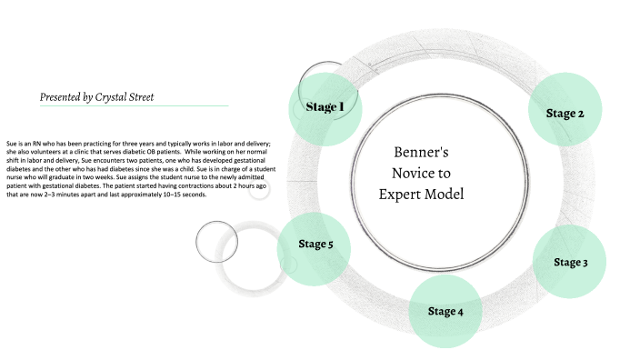 Benners Novice - Expert Model by CRYSTAL STREET on Prezi Benners Novice - Expert Model by CRYSTAL STREET on Prezi