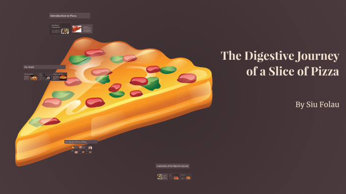 The Digestive Journey of a Slice of Pizza by Siu Folau on Prezi