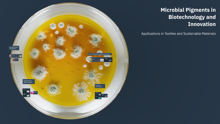 Microbial Pigments in Biotechnology and Innovation by Isabel Gouveia on ...