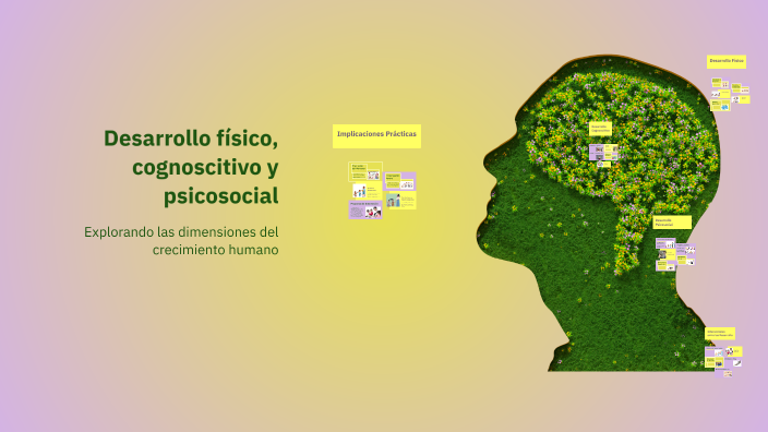 Desarrollo físico, cognoscitivo y psicosocial by kevin gonzalez on Prezi