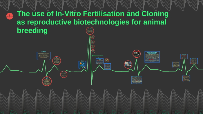 The use of IVF and Cloning as reproductive biotechnologies for animal ...