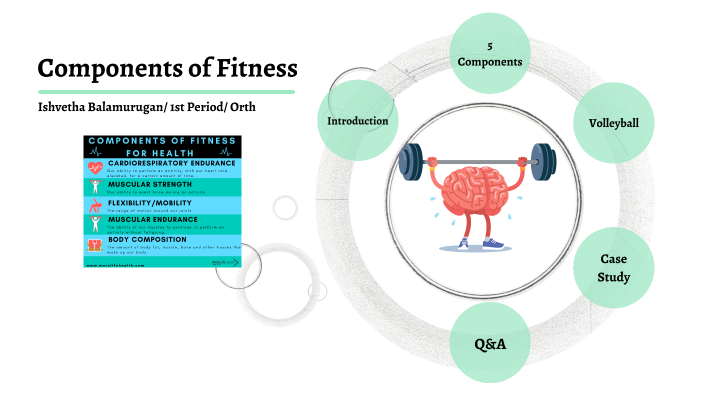 Components of Fitness Project by Ishvetha B on Prezi
