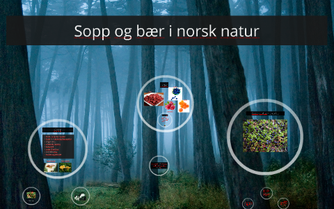 Sopp og bær i norsk natur by ggffgg gfgfgf on Prezi