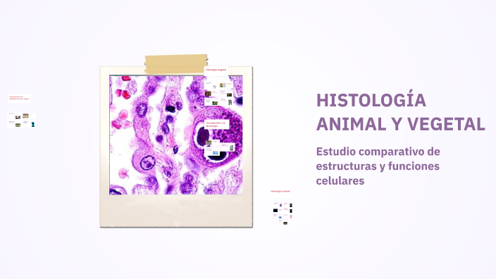 HISTOLOGÍA ANIMAL Y VEGETAL by Alexander Fabrizzio Rodríguez Chávez on ...