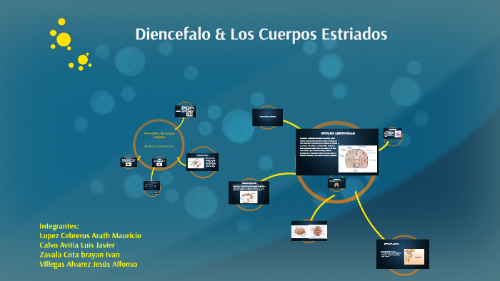 Trabajo Expo Anatomía by Arath Lopez on Prezi