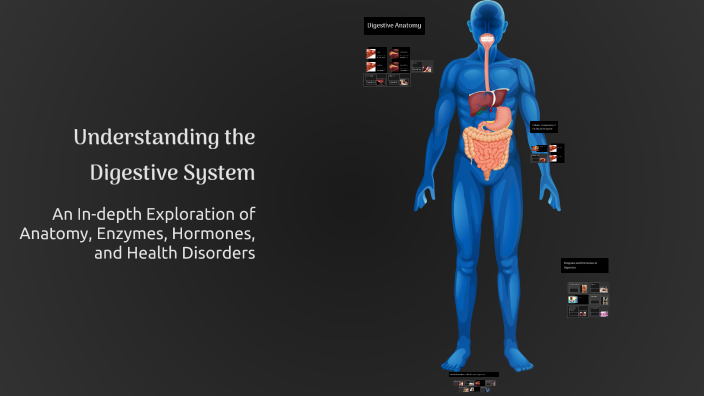 Understanding the Digestive System by Nima Wangmo on Prezi