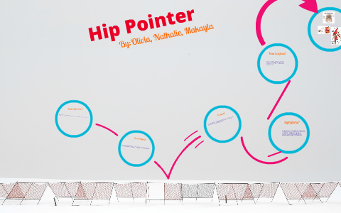 Hip Pointer by Nathalie Vann