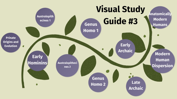 Visual Study Guide #3 by Macayla Moore on Prezi
