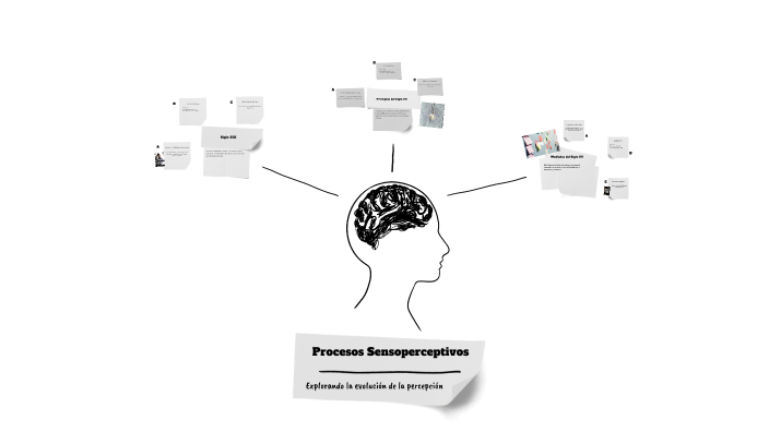 Procesos Sensoperceptivos by Paola Andrea Usuga on Prezi