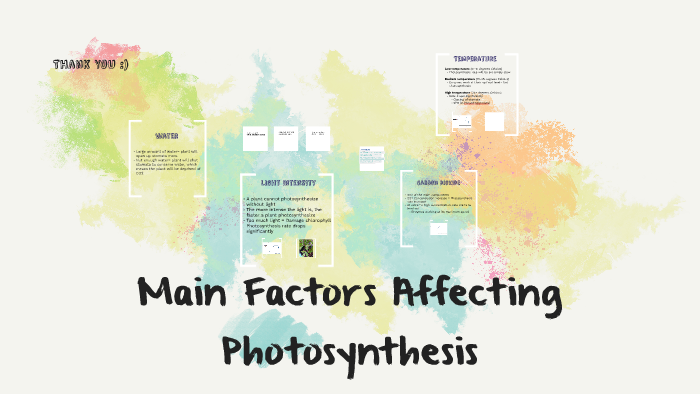Factors Affecting Photosynthesis by celine chen on Prezi