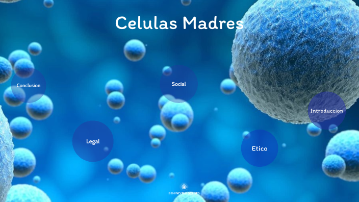 Celulas madres by Sofi Dr on Prezi