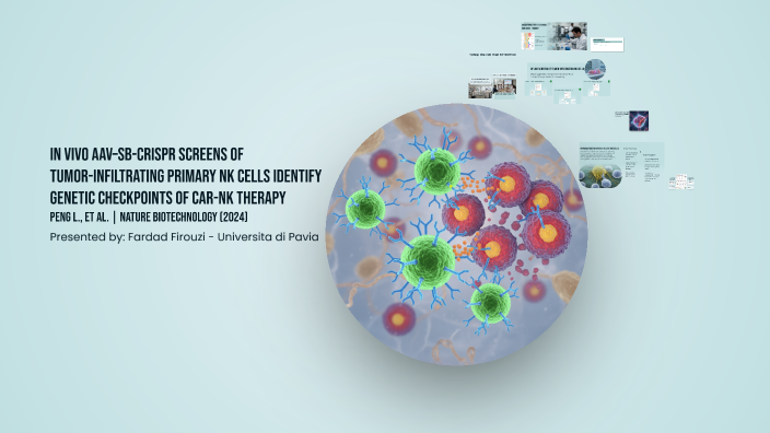 Exploring Genetic Checkpoints in CAR-NK Therapy: Insights from AAV–SB ...