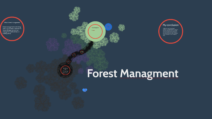 Forest Managment by Tyler Penrose on Prezi