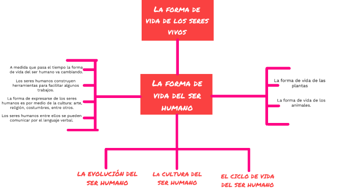 La Forma De Vida De Los Seres Humanos by Andrea Garcia on Prezi
