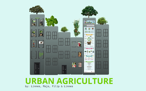 Urban Agriculture by Maja Rodman on Prezi