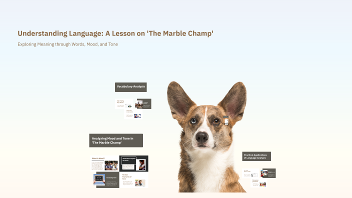 Understanding Language: A Lesson on 'The Marble Champ' by Michelle ...