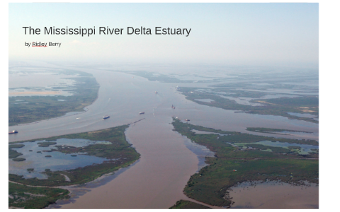 The Mississippi River Delta Estuary Project by Ridley Berry on Prezi