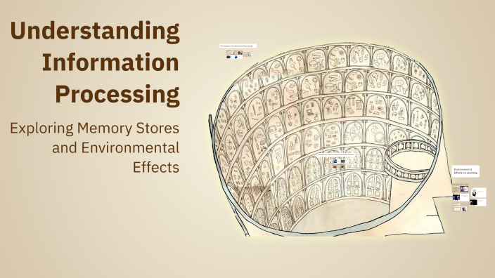 Understanding Information Processing by Kristina Mortimer Bale on Prezi