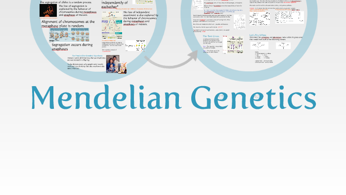 AP Bio- Mendelian Genetics 1: Intro to Mendelian Genetics by Jessica ...