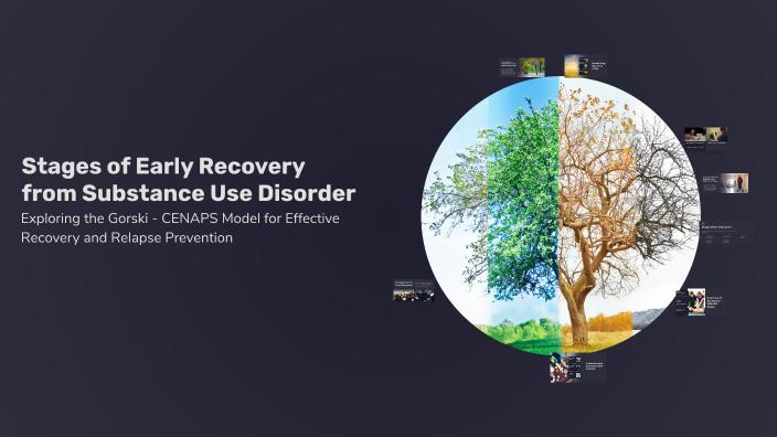 Stages of Early Recovery from Substance Use Disorder by Tencia Sanchez ...