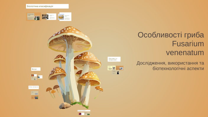 Особливості гриба Fusarium venenatum by Анна Тарасюк on Prezi