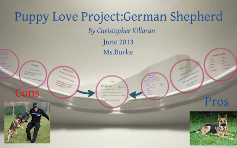Puppy Love Project: German Shepherd by Christopher Killoran on Prezi