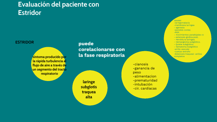 evaluación del paciente con estridor by Vanina Luxero on Prezi
