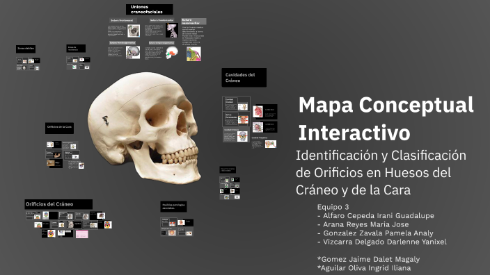Mapa Conceptual Interactivo by Darlenne Vizcarra on Prezi