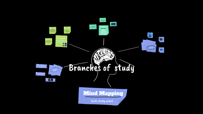 Branches of study by isabella montenegro on Prezi