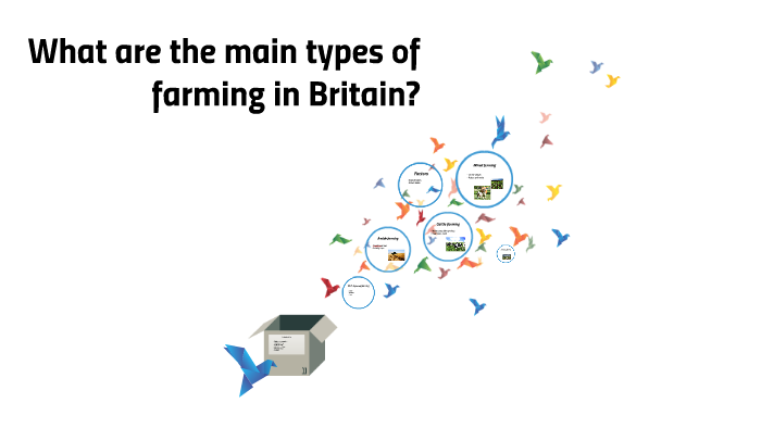 What are the main types of farming in Britain? by Jette Hulsen on Prezi