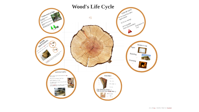 Wood's life cycle by Boubker Chilah on Prezi