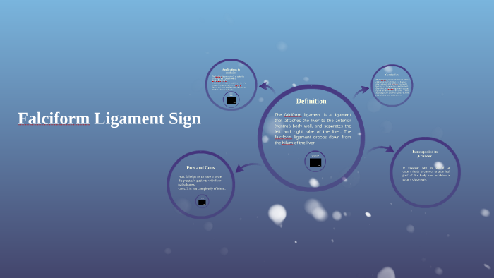 Falciform Ligament Sign by Melissa Perez on Prezi