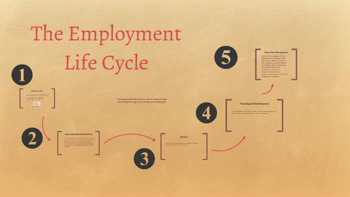 The Employment Life Cycle by Lina Hisham on Prezi