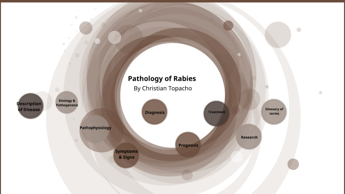 Rabies Pathology Project by Christian t on Prezi