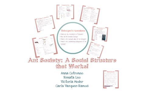 Ant Society: A Social Structure that Works by Victoria Moder on Prezi