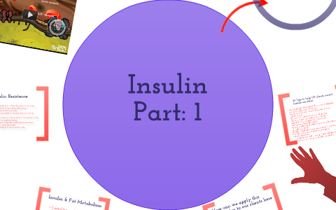 Insulin presentation part: 1 by Sean Murphy on Prezi