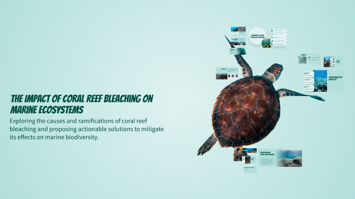 The Impact of Coral Reef Bleaching on Marine Ecosystems by Daniel-Paul ...