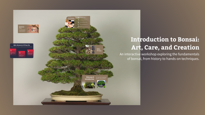 Introduction to Bonsai: Art, Care, and Creation by David Miller on Prezi