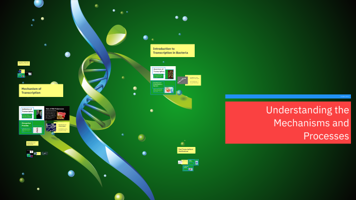 Transcription in Bacteria by ADIL J on Prezi