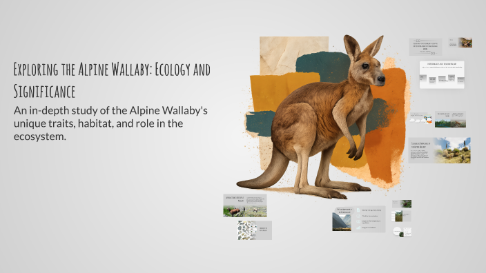 Exploring the Alpine Wallaby: Ecology and Significance by derek arnold ...