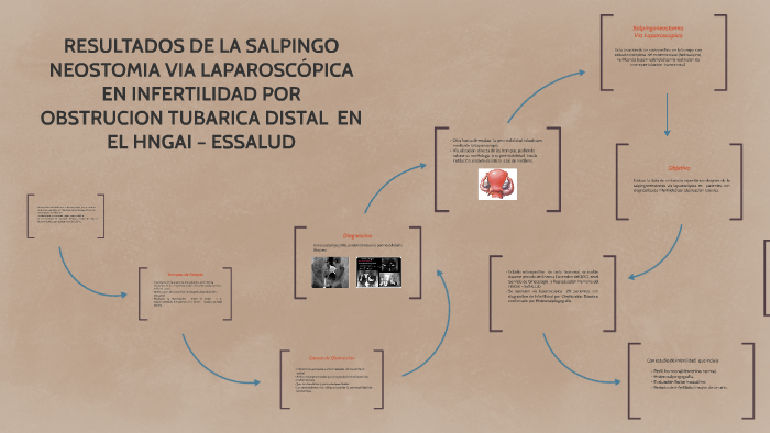 RESULTADOS DE LA SALPINGO NEOSTOMIA VIA LAPAROSCÓPICA EN INF by ...