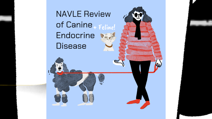 Dog/Cat Endocrine by Madeline Zurowsky on Prezi