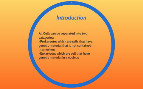 Prokaryotic and Eukaryotic Cells by Nicole Chambrello on Prezi