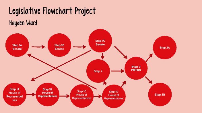 Legislative Flowchart Project by Hayden Ward on Prezi